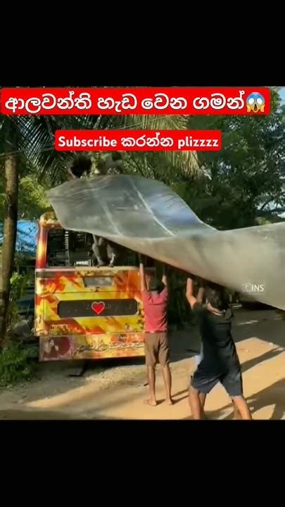 ආලවන්ති හැඩ වෙන ගමන්😍ආස අය්අ ලයික් කරන් යන් Trending 💖💖 Viral