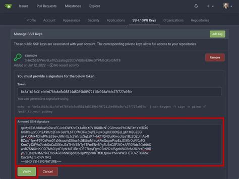 How To Add And Verify Ssh Keys Inside Gitea Tech Addressed