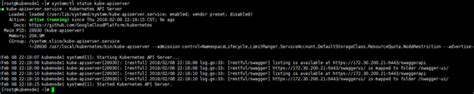 Kubernetes Kube Apiserver Netonline
