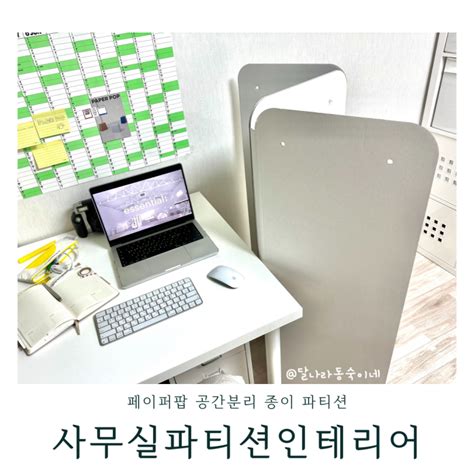 사무실파티션 원룸 파티션인테리어 공간분리 페이퍼팝 고양이집사 거실인테리어팁 네이버 블로그