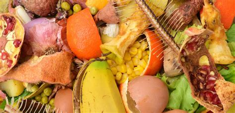 Combate Ao Desperdício Alimentar Deco Proteste Deco Proteste