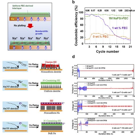 Improved Sodium Metal Anodes By Using 3d Framework Current Collectors Download Scientific