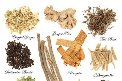 Adaptogens Whare They Are And How To Use Them In Delaware