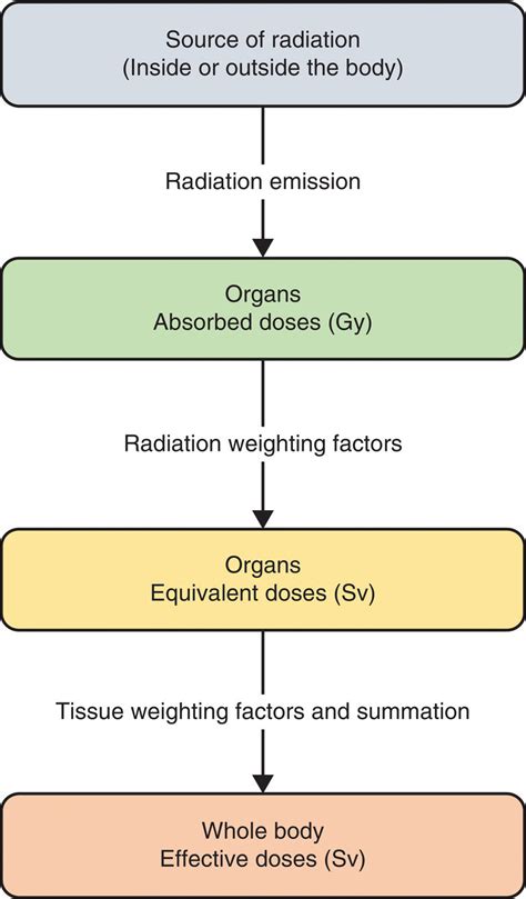 Radiation Safety During Diagnosis And Treatment Abdominal Key