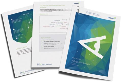 Ppa Assessment Personal Profile Analysis