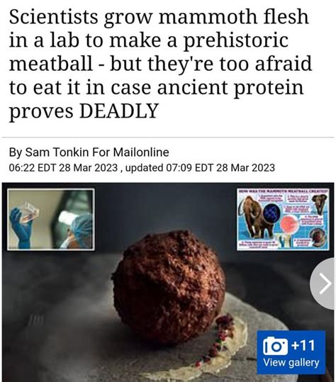 Old Wad Of Meat Reatityoufuckingcoward