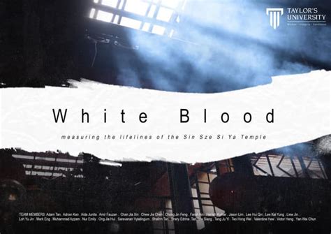 Sin Sze Si Ya Temple Report Pdf