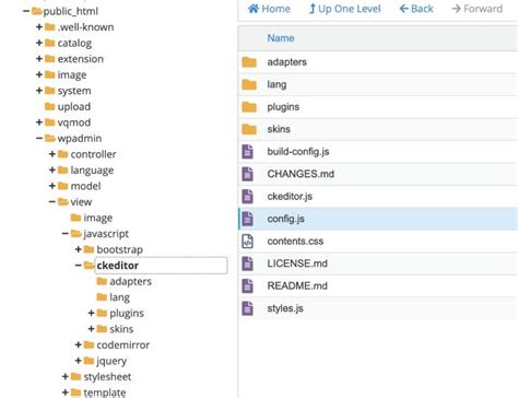Configure The CKeditor To Add Iframe Scripts HTML In Opencart
