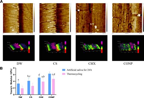 Three Dimensional Observation In The Resin Dentin Interface By Atomic