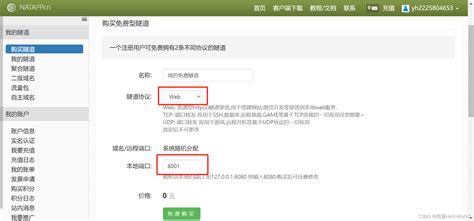 内网穿透natapp基础用法 natapp怎么使用 CSDN博客