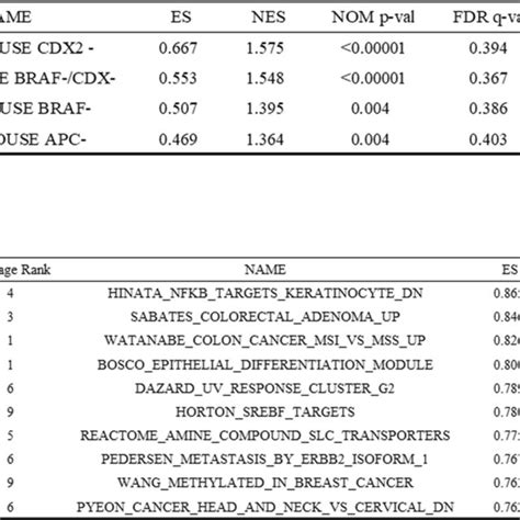 Result Of Gsea A Result Of Gsea Between Our Ssaps And Four Gene
