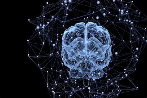 Neural Networks Do Not Work Like Human Brains Lets Debunk The Myth