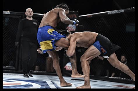 Discover The Powerful Mma Technique Somersault Into Head Kick Explained