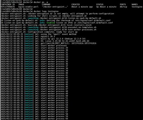 一种实现docker容器嵌套的方法 docker嵌套 csdn博客