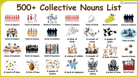 Collective Nouns Of Chartered Planes