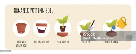 盆栽土壤混合概念植物有機土壤種植準備階段向量平面概念向量圖形及更多種盆栽圖片 種盆栽 園藝 堆肥 Istock