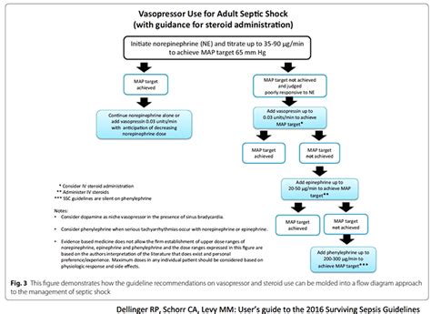 Severe Sepsis Algorithm