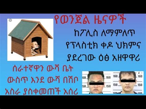 የወንጀል ዜናዎች ሰራተኛዋን ውሻ ቤት ውስጥ እንደ ውሻ በሽቦ አስራ ያስቀመጠች አሰሪ ከፖሊስ ለማምለጥ