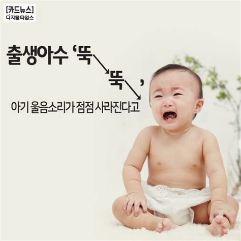 카드뉴스 출생아수 ‘뚝~뚝아기 울음소리가 점점 사라진다고 디지털타임스