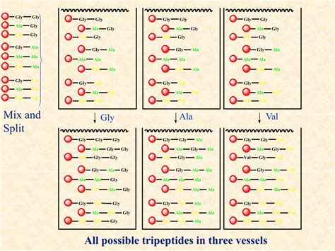 Ppt Combinatorial Chemistry And Library Design By Prof K N Rajini