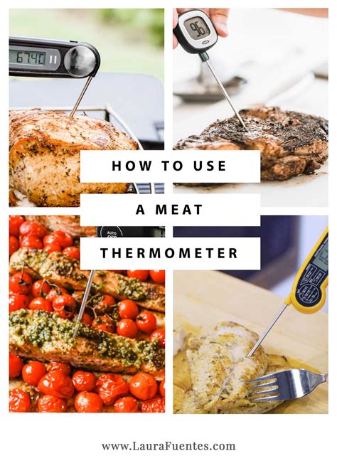 How To Use A Meat Thermometer For Beginners Laura Fuentes