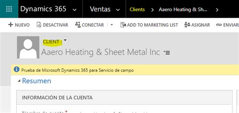 Translating And Renaming Dynamics Artifacts Into Other Languages Carl De Souza