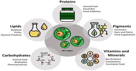 A New Method Of Synthesizing Small Molecules For Long Term Use