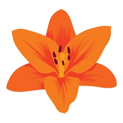 Premium Vector Oranges Tropical Flower