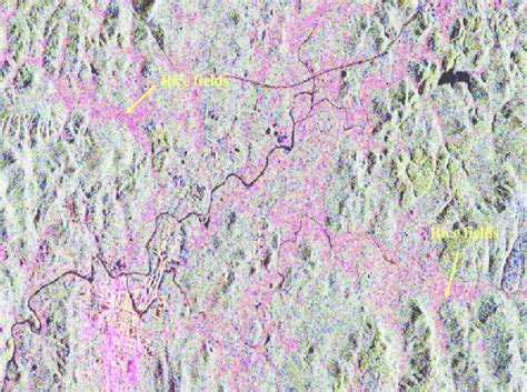 Rice Crop Identification Using Radarsat 2 Data Download Scientific Diagram