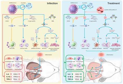 武汉大学药学院