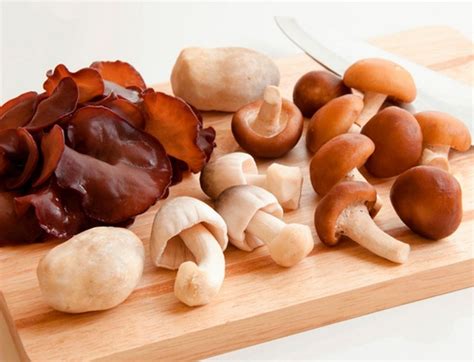 As Es Como Los Hongos Silvestres Ayudan A Fortalecer Tu Sistema Inmune