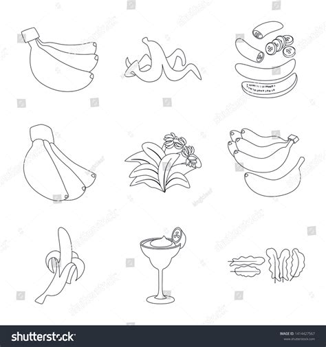 Vector Illustration Organic Potassium Logo Collection Stock Vector Royalty Free 1414427567