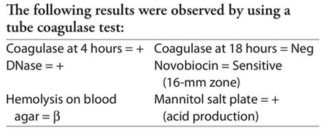 Cbacte Qanda Gram Positive And Gram Negative Cocci Lec Flashcards Quizlet