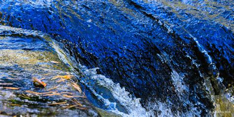 A Pleasant Visit To Stepstone Falls The Arcadia State Park