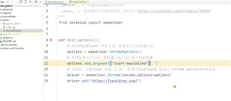 软件测试测试开发丨web自动化 Option 常用操作headless无头浏览器web Option应用 Csdn博客