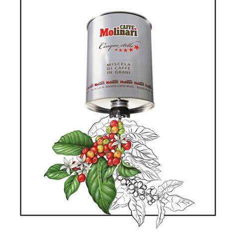 Caffe Molinari Cinque Stelle Coffee Beans