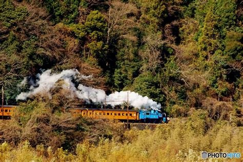 大井川鉄道 トーマス号！③（完） By トッシータマ （id：12163346） 写真共有サイトphotohito