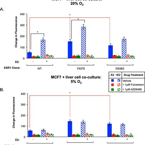 The Loss Of Estrogen Enhanced Growth For The Y537s Mutation At Low