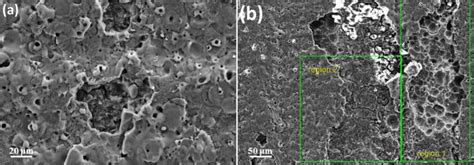 Surface Fesem Micrographs Of Mao Coating After Nsst Of 1200 H A