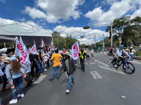 Marcha En Cdmx Contra El Maltrato Animal