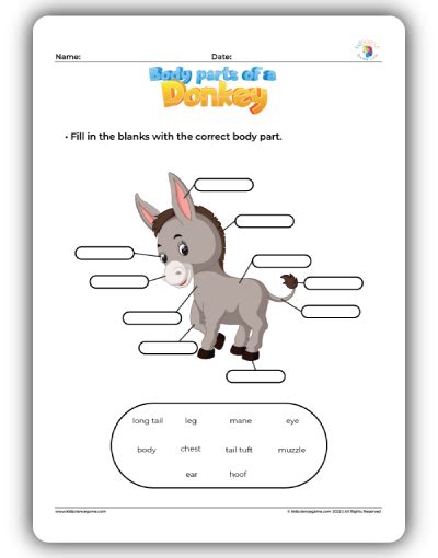 Worksheets