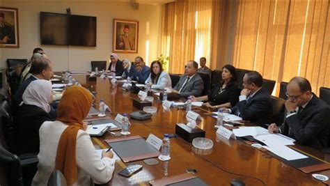 وزير المالية نتطلع لتعزيز مساهمات المصريين بالخارج في عملية التنمية