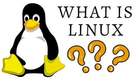 Shell Functions In Linux Naukri Code