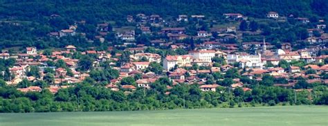 В Сухиндол ще обработват против бълхи кърлежи и комари Regnews Net Новини по всяко време