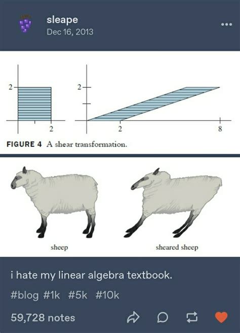 algebraic topology teaches basic procedures on breast augmentation r