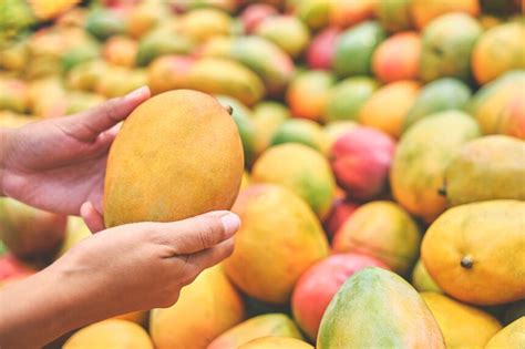 Types Of Mangoes In Pakistan Faqs