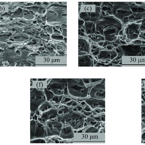 SEM Photographs Of The Fracture Surface A Specimen A01 B Specimen