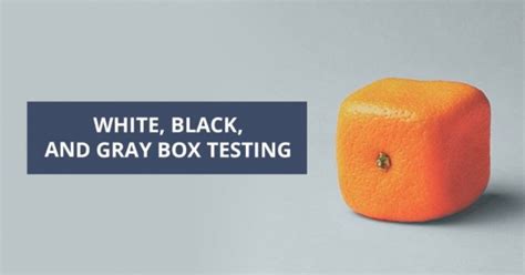 White Black Gray Box Testing Difference Qatestlab Blog