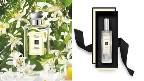 日妞最愛jo Malone 香水top 10！杏桃花與蜂蜜人見人愛，第二名意外出現冷門香水！ Yahoo奇摩時尚美妝