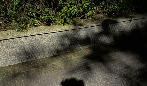 i scaled down the shadow quality to improve performance r